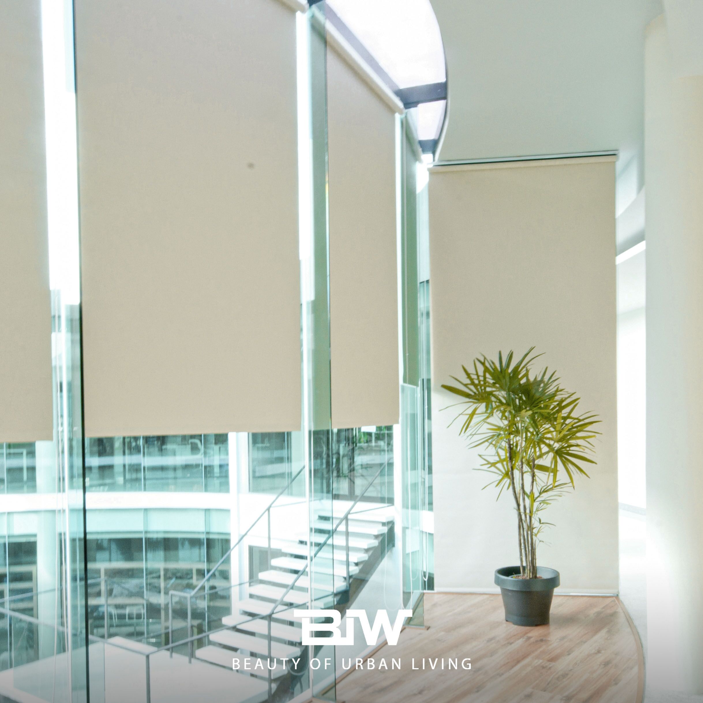 Body Glove | BIW