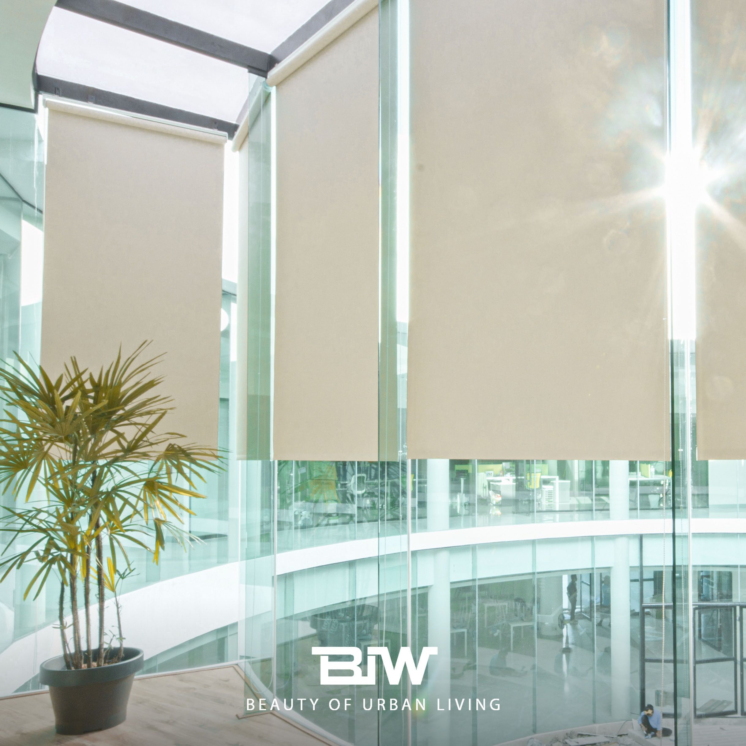 Body Glove | BIW