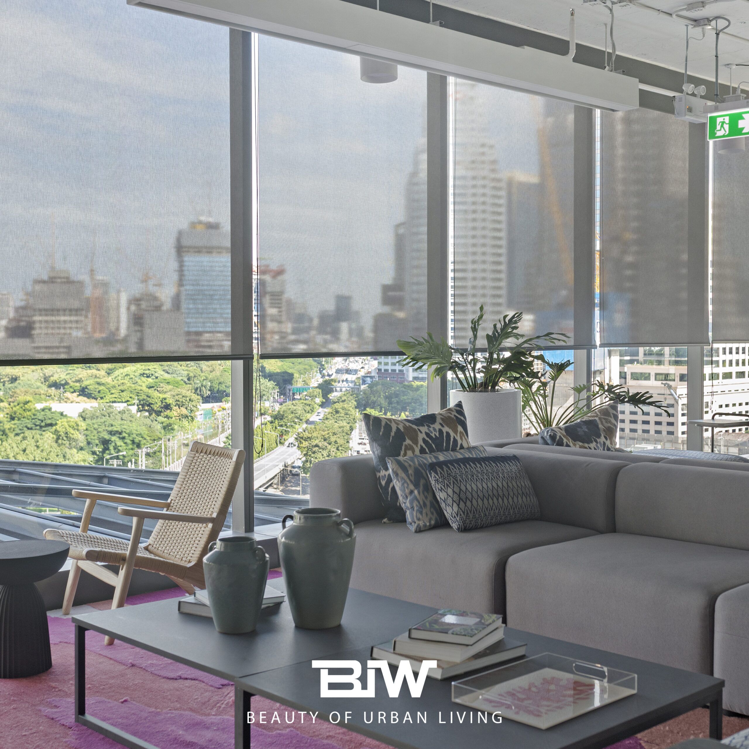 SENSESIGN COMPANY | BIW